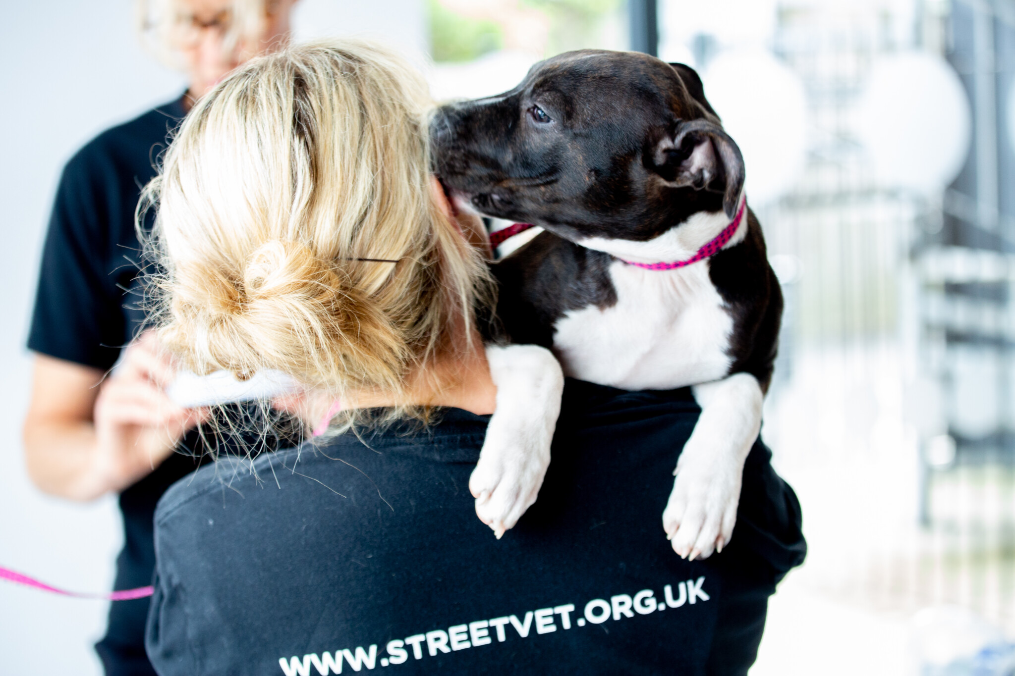 A Day in the Life of a StreetVet Volunteer - Earth Animal